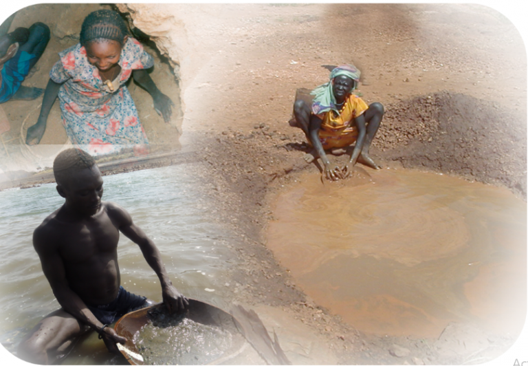 gallery – Assosa University