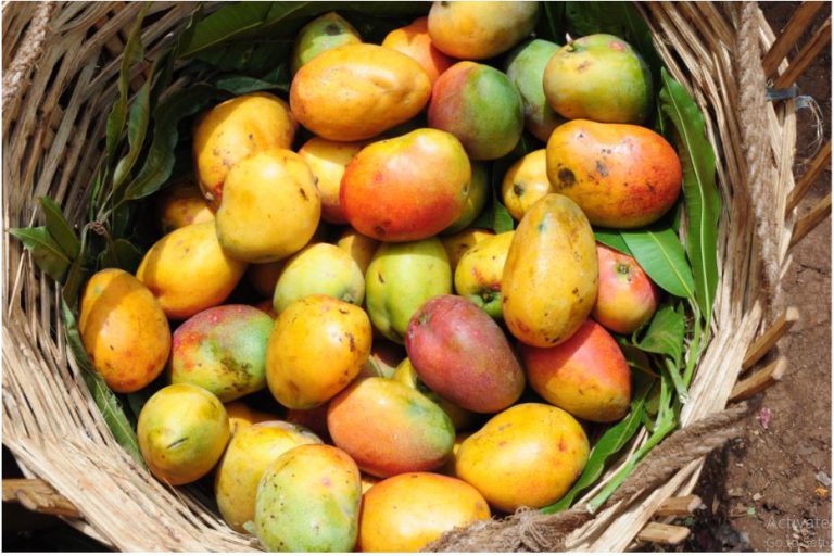 gallery – Assosa University